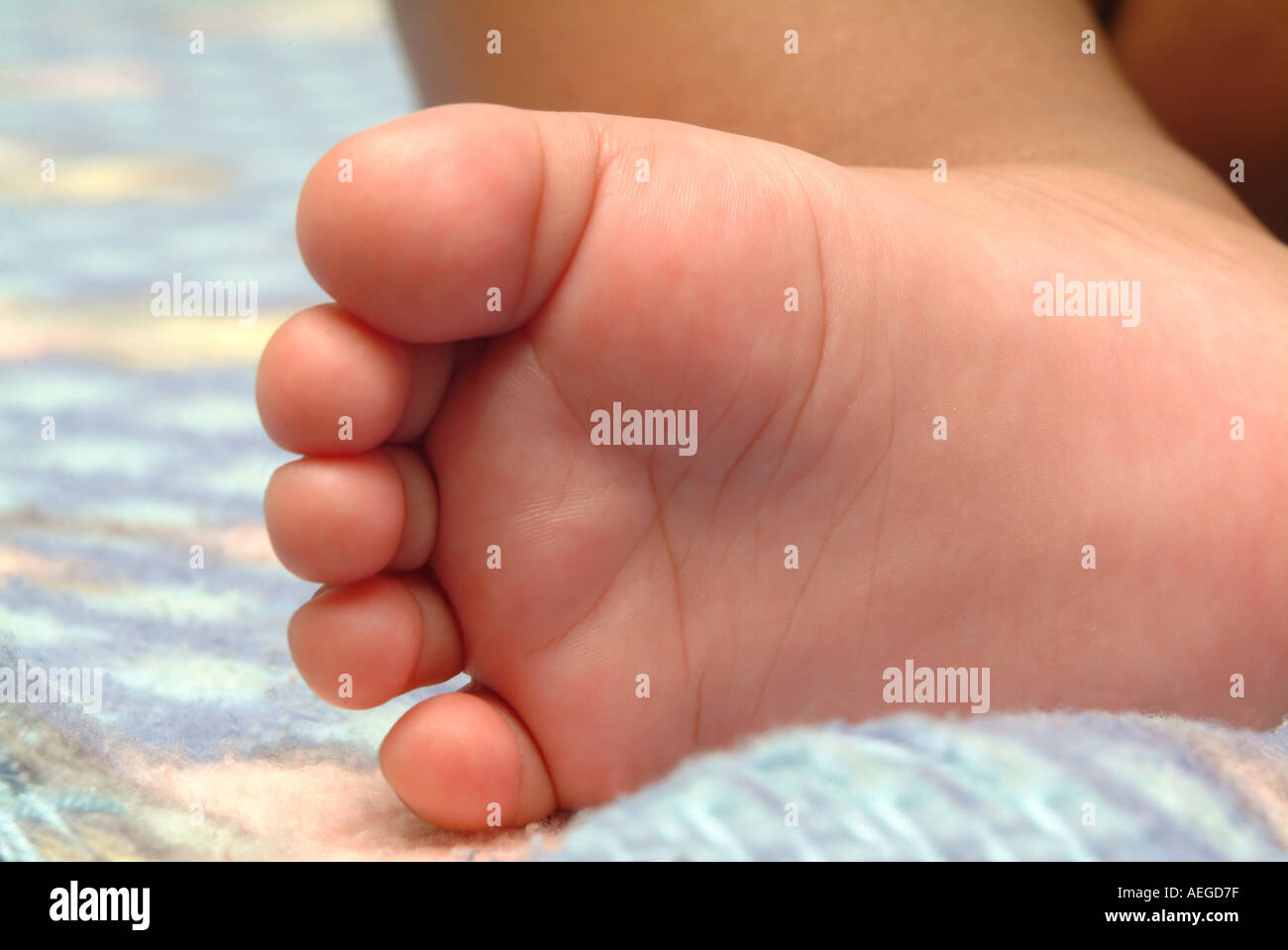 Smallest Feet In The World