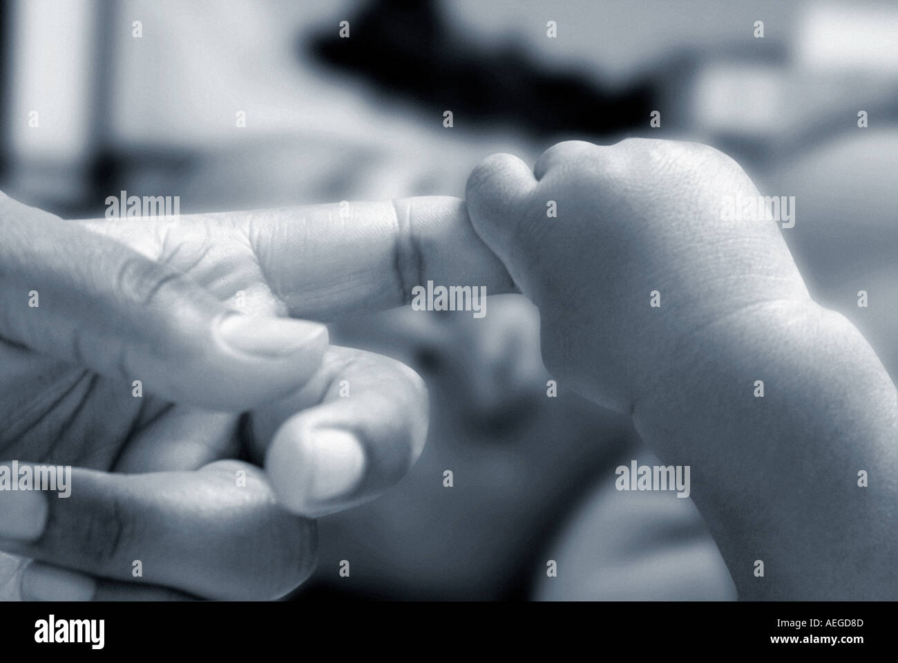 Black and white family holding hands hi-res stock photography and ...