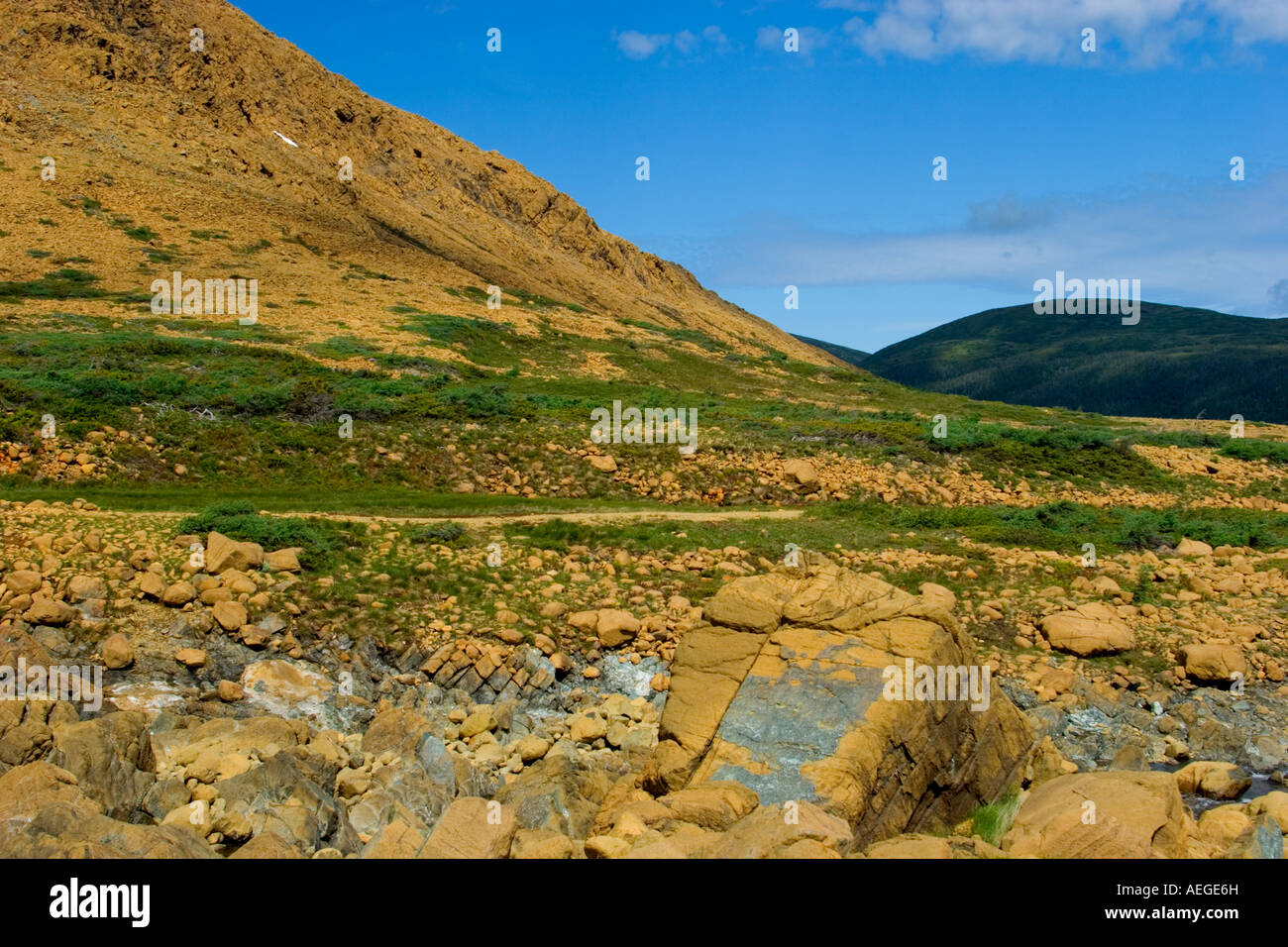 Tablelands Gros Morne National Park Newfoundland Canada Stock Photo - Alamy
