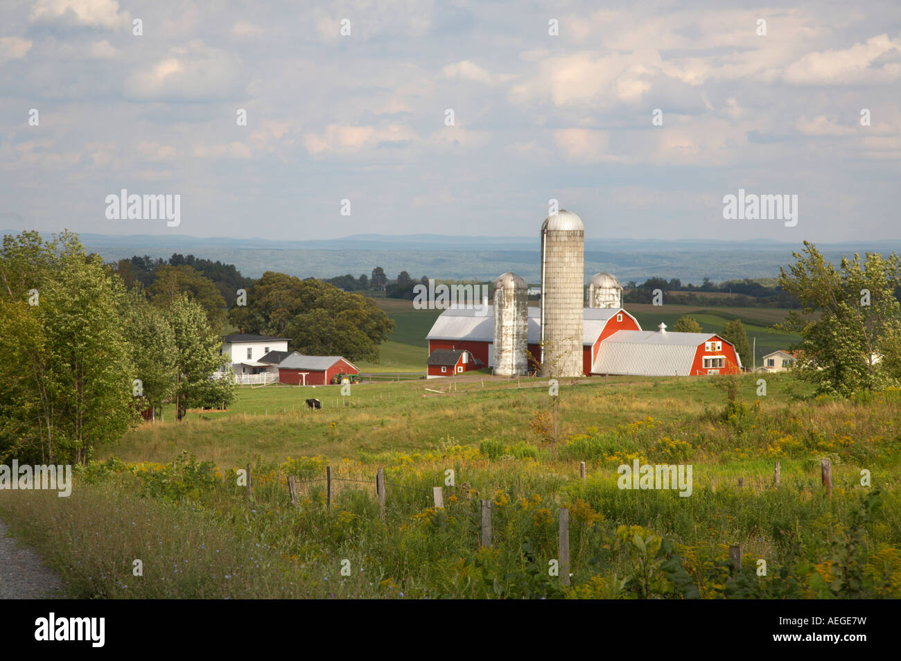 Farm in lewis County outside lowville in New York State Stock Photo - Alamy