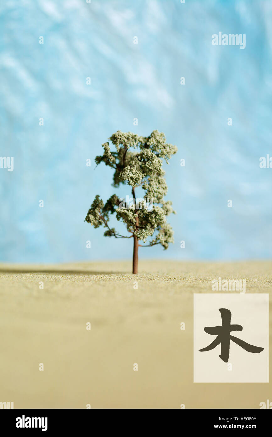 tree with chinese character for tree Stock Photo - Alamy