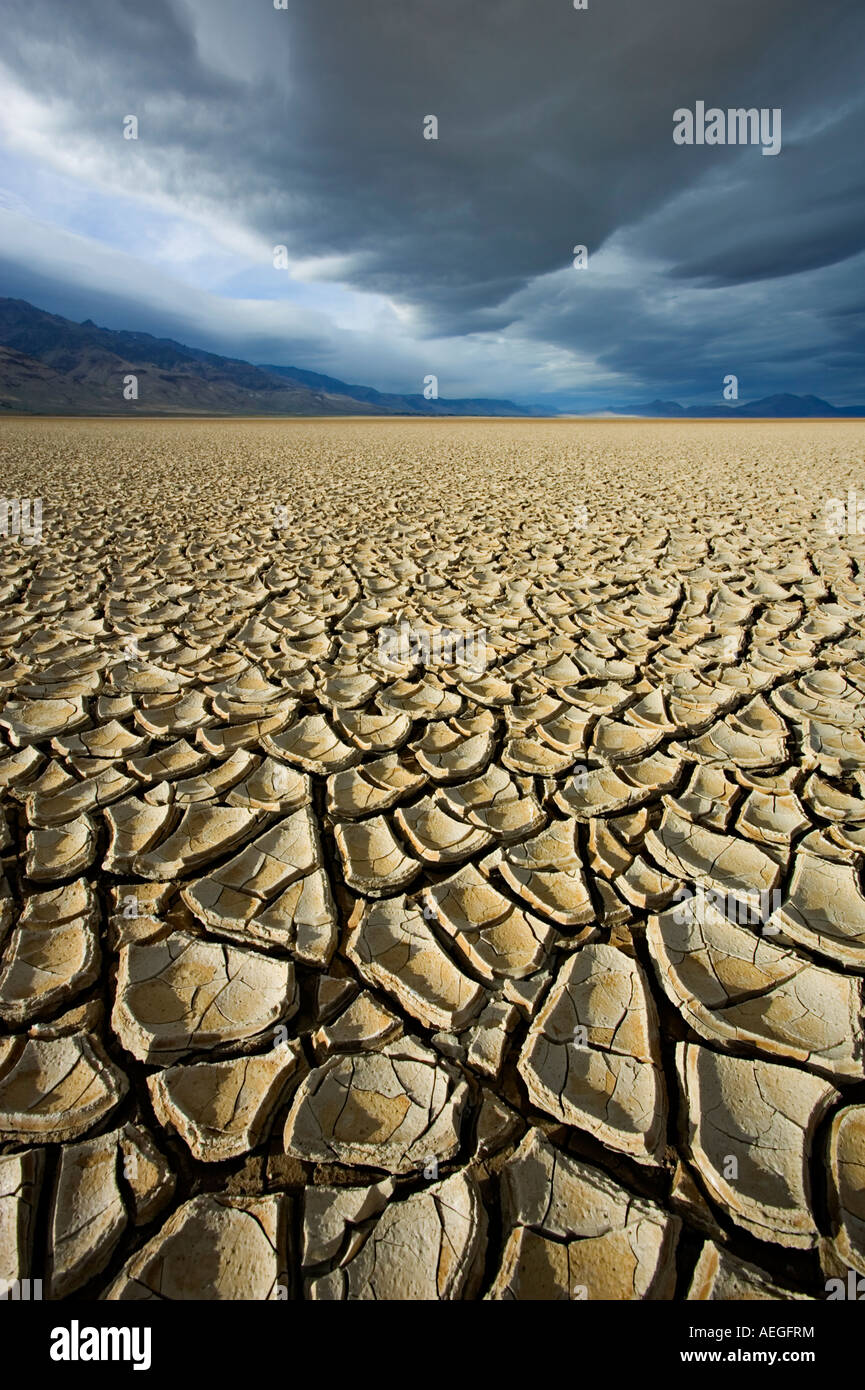 Alkali Desert High Resolution Stock Photography and Images - Alamy