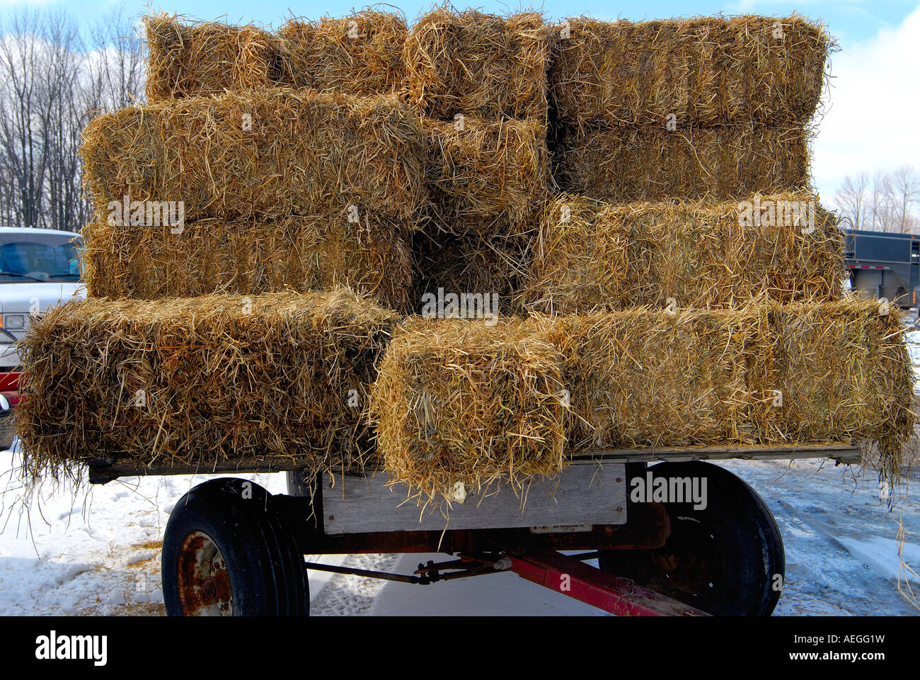 Farm hay bayled Stock Photo - Alamy