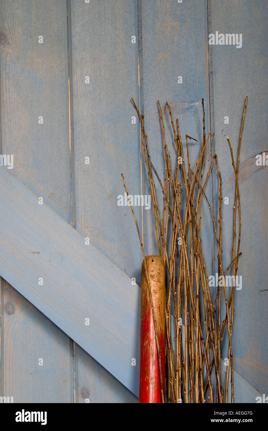 Weavers broom hi-res stock photography and images - Alamy