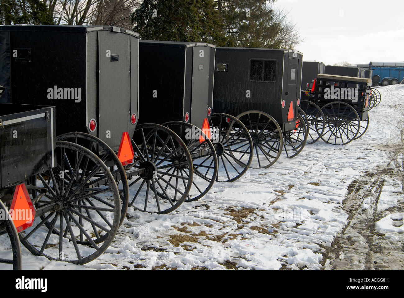 Amish buggies visit a horse auction in Mt Hope Ohio Stock Photo - Alamy
