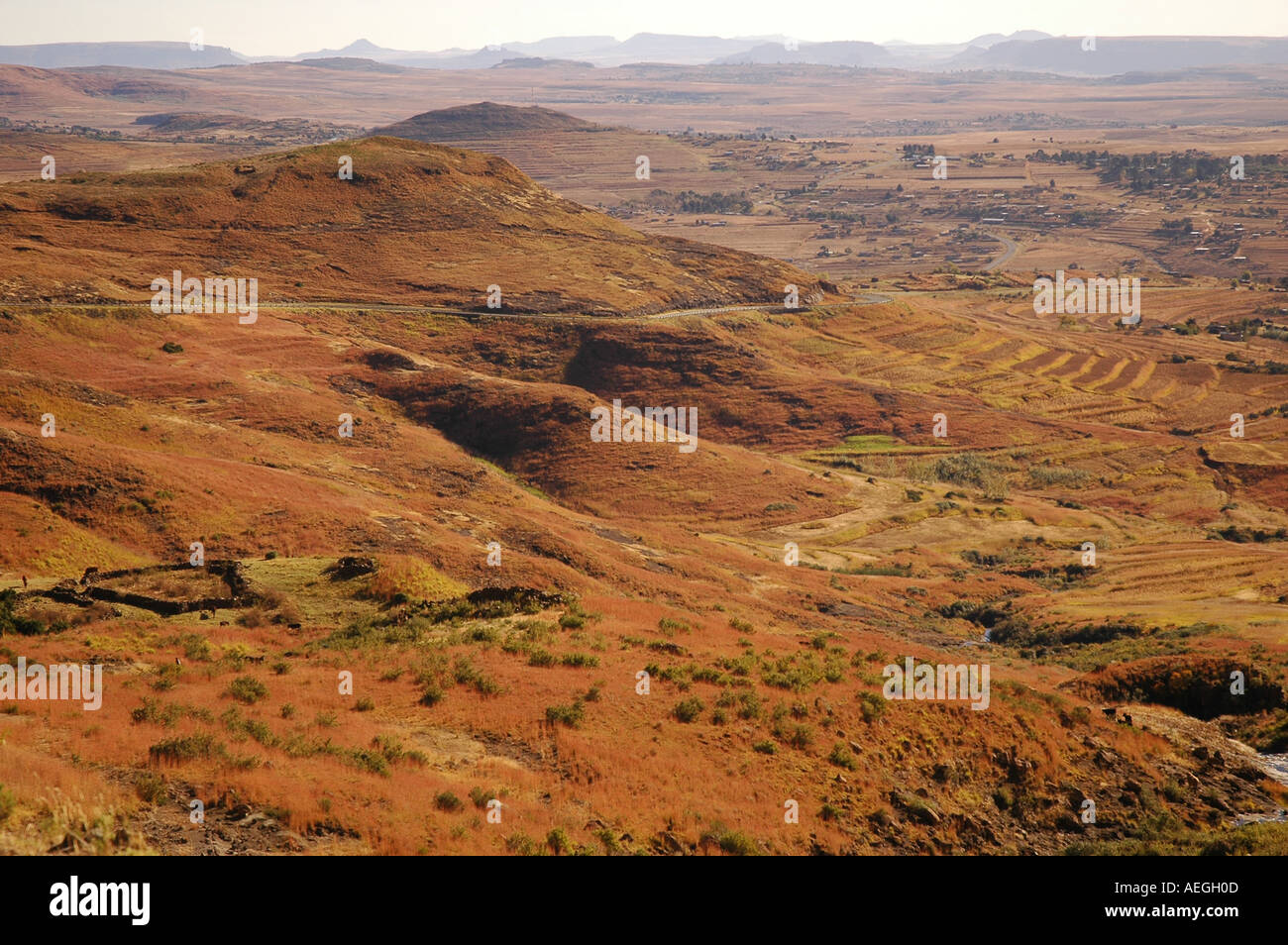 Kral hi-res stock photography and images - Alamy