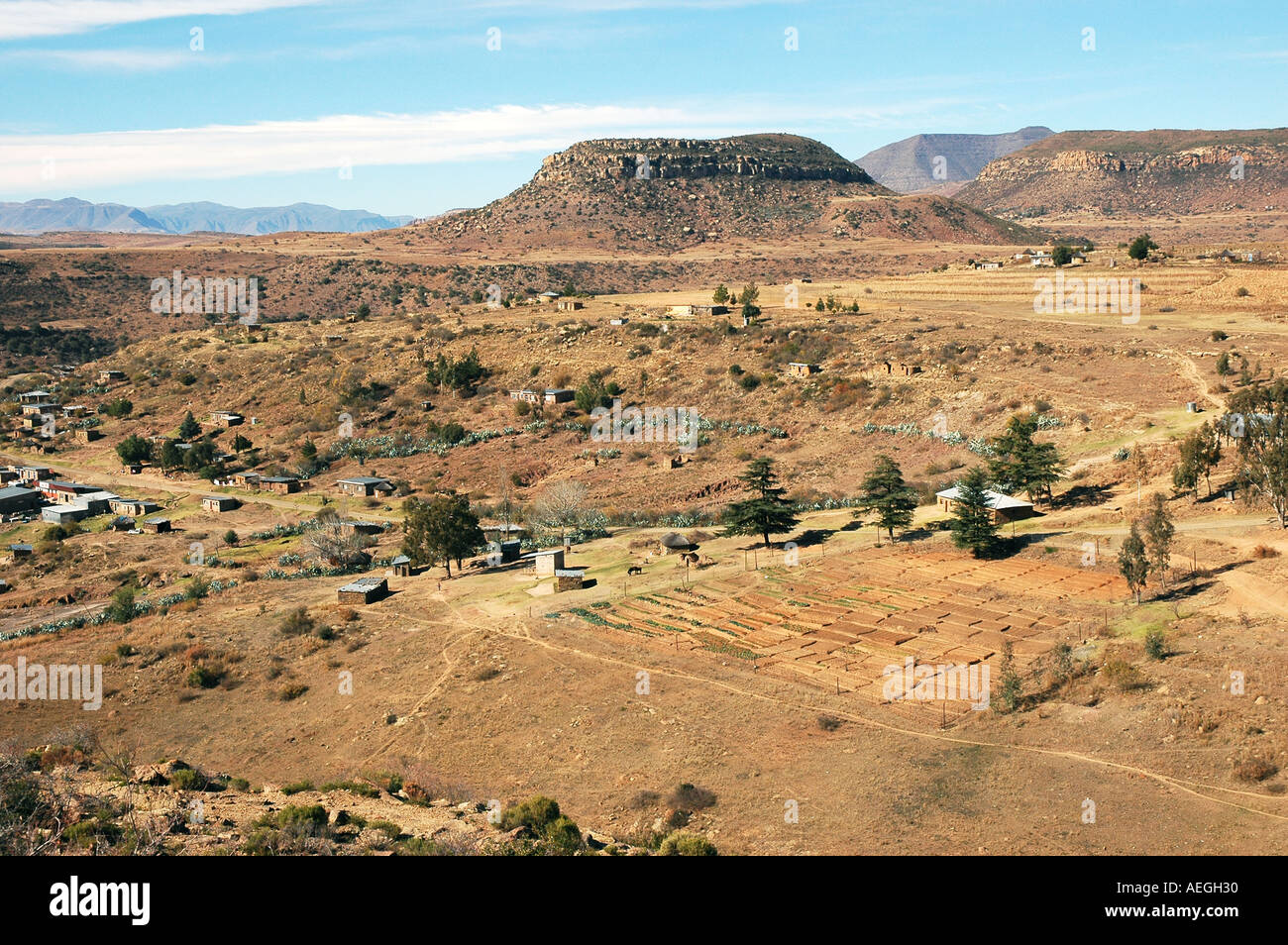 Sparse vegetation hi-res stock photography and images - Alamy