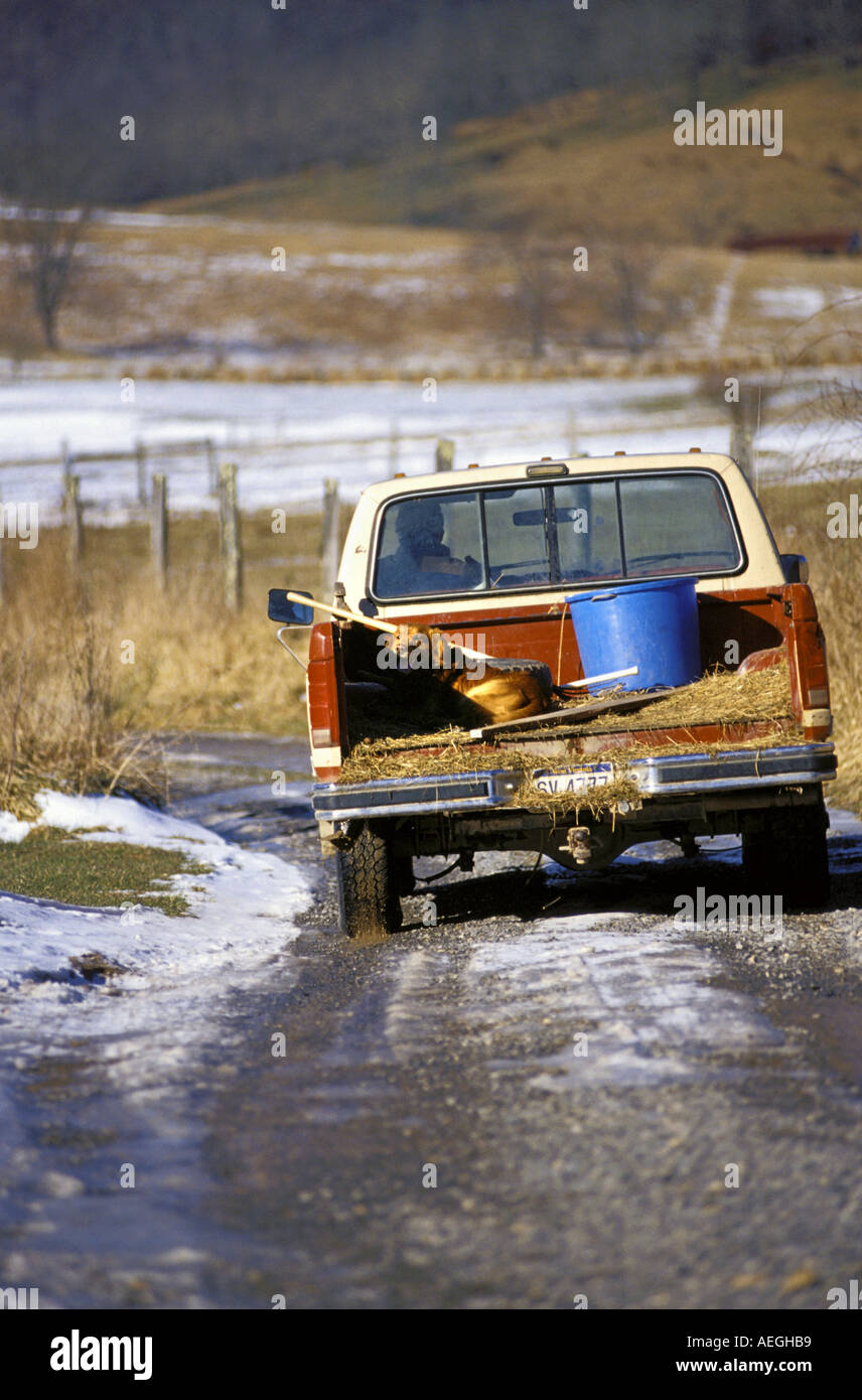 Back of Pick Up Truck Stock Photo - Alamy