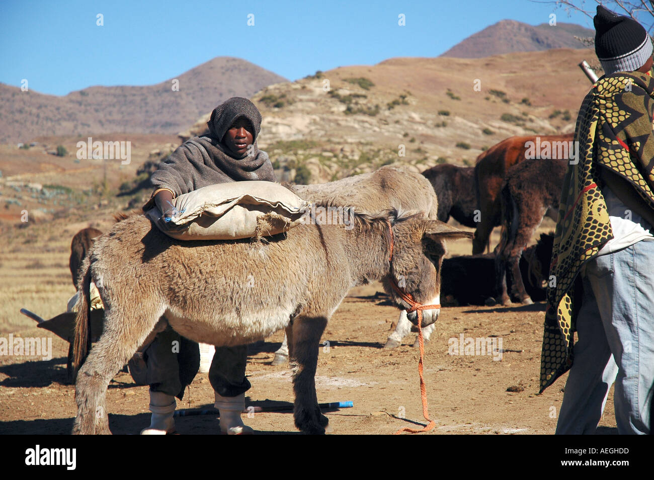 African herder boy hi-res stock photography and images - Alamy