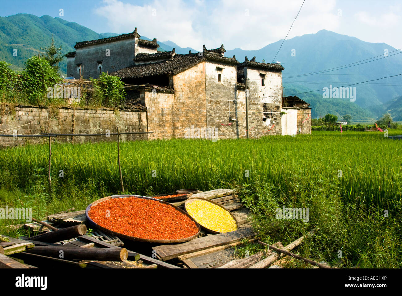 Ancient Chinese Rice Fields