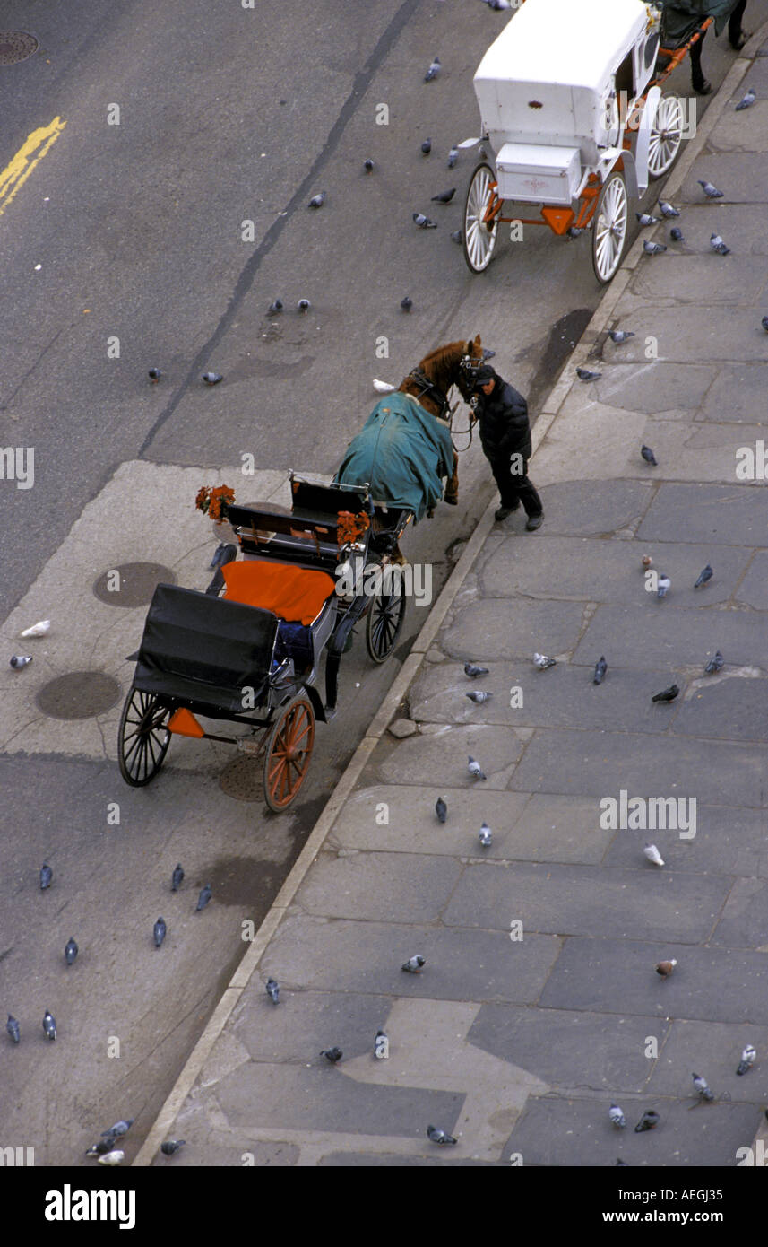 Aerial view of Horse drawn carriage Stock Photo - Alamy