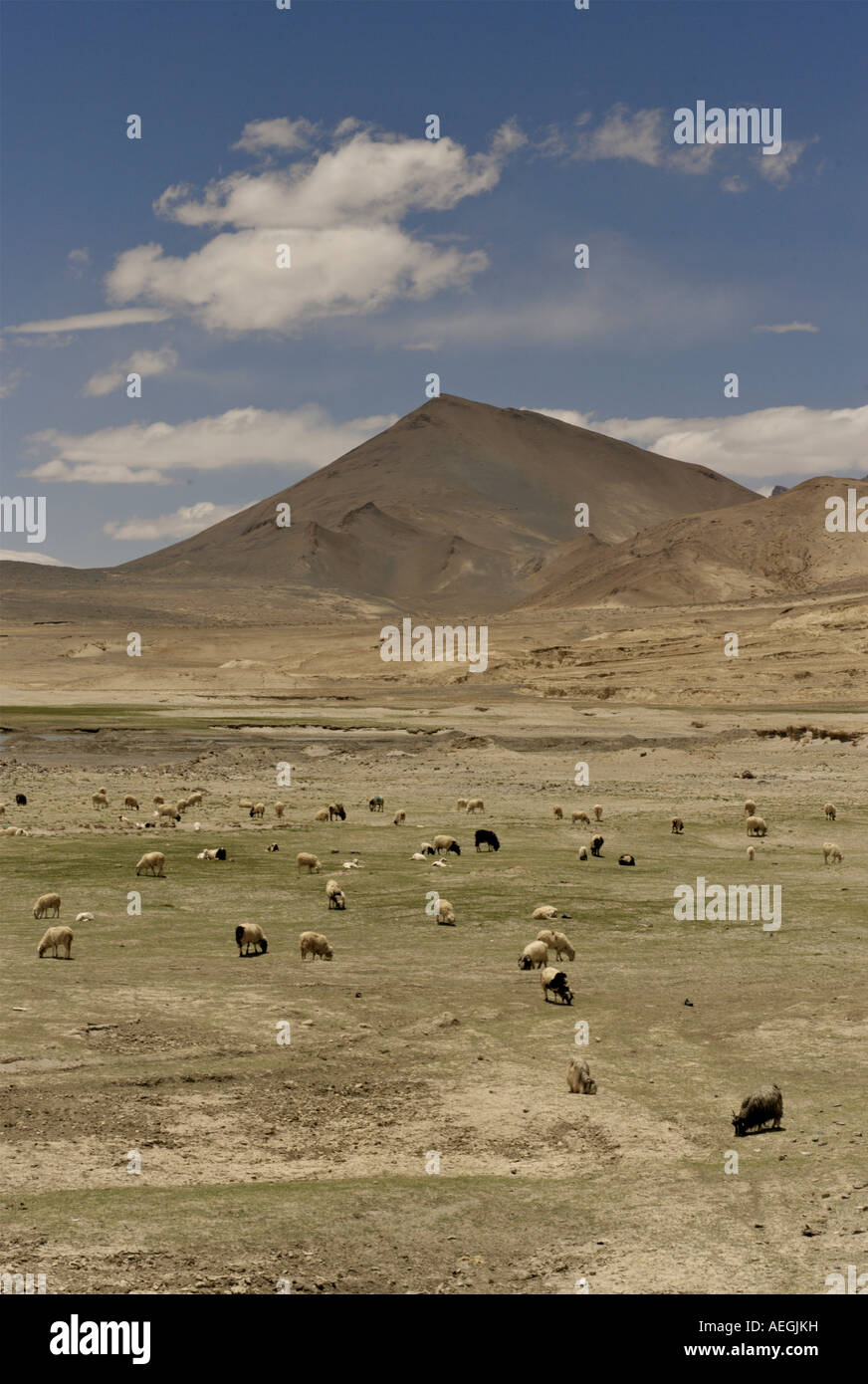 Foothill plain hi-res stock photography and images - Alamy