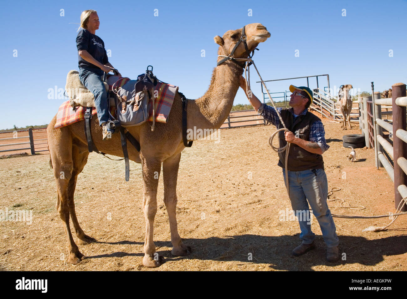 Glenda Sutton and Peter Hodge take one of their camels for a walk on ...