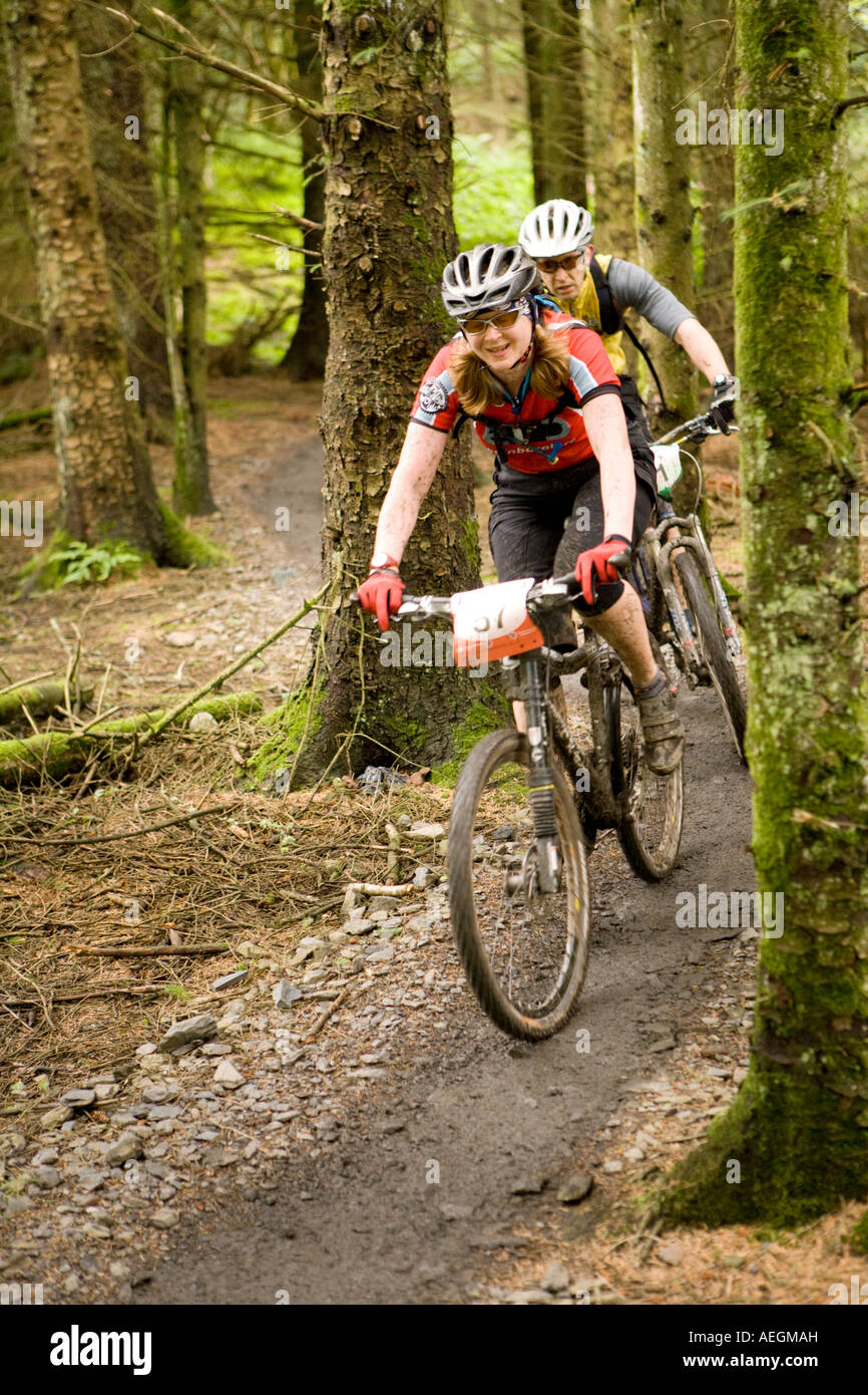 Racing conifer forest hi-res stock photography and images - Alamy