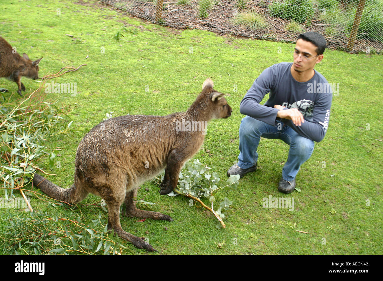 Australian stereotype hi-res stock photography and images - Alamy