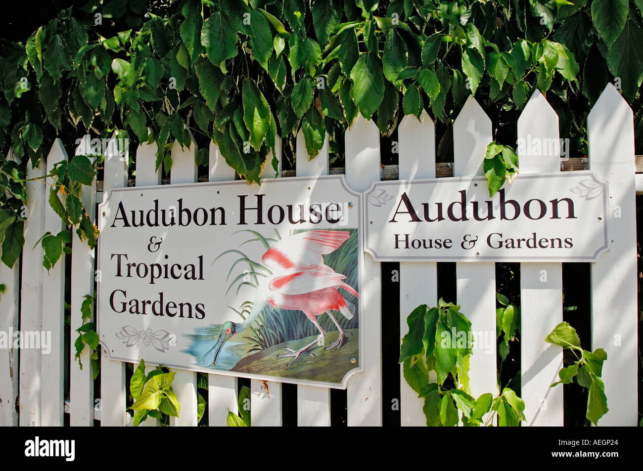 Florida Key West Audubon House and Gardens Stock Photo - Alamy Florida Key West Audubon House and Gardens Stock Photo - Alamy