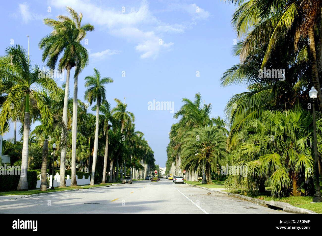 Florida Hollywood road Stock Photo - Alamy