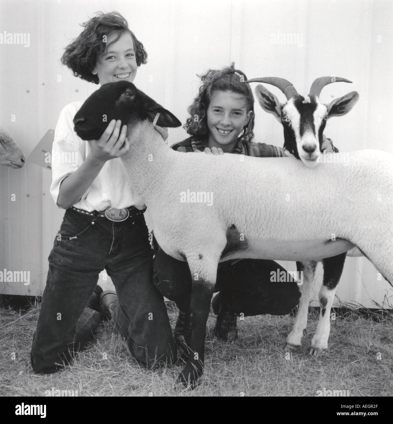 USA North Dakota Slope County Fair young girls with goats Stock Photo ...