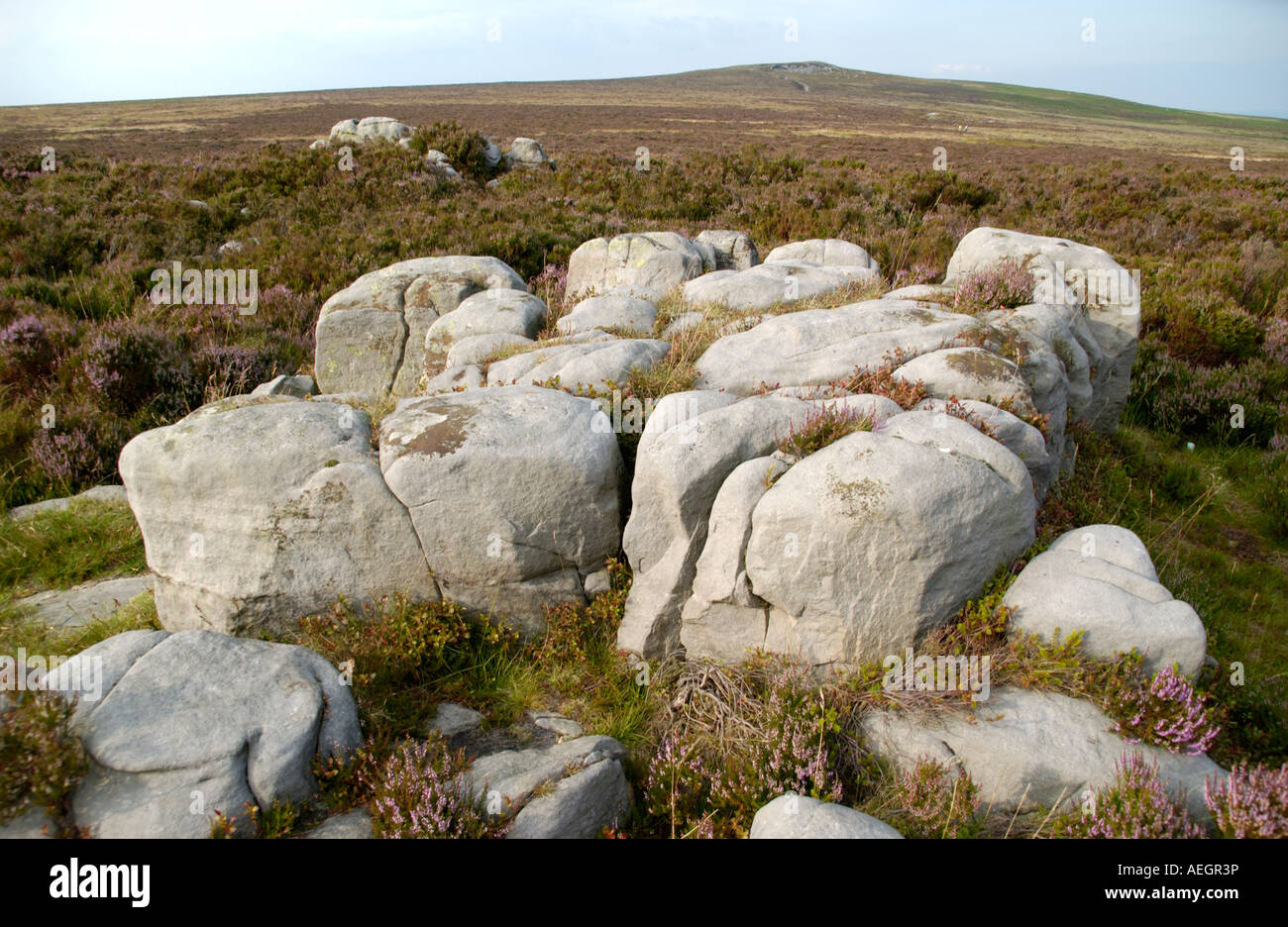Limestone outcrop on open heather moorland Blorenge Mountain near ...