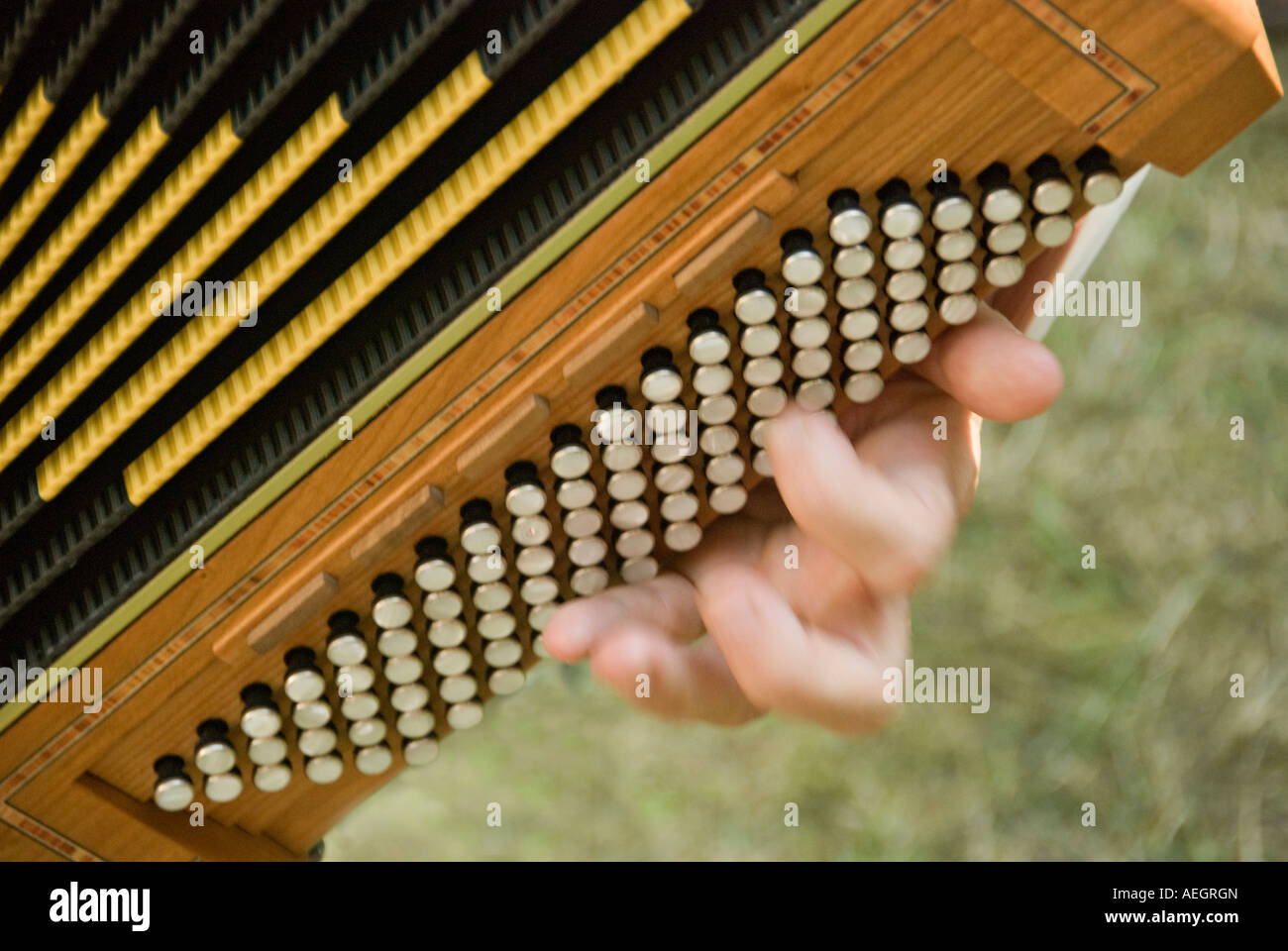 Musician playing accordion Stock Photo - Alamy