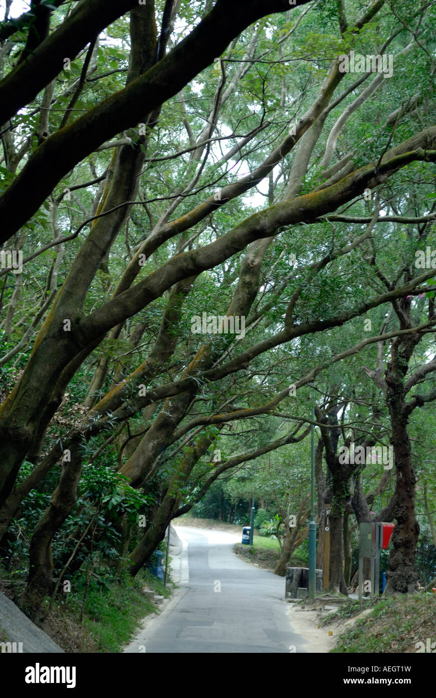400 meters hi-res stock photography and images - Alamy
