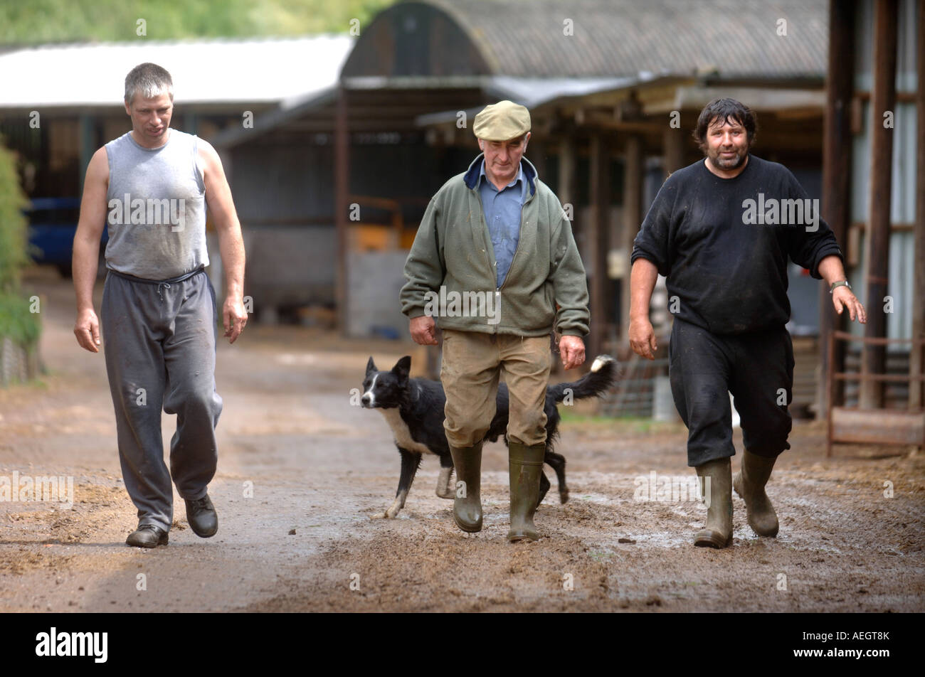 Agriculture farm labourers hi-res stock photography and images - Alamy