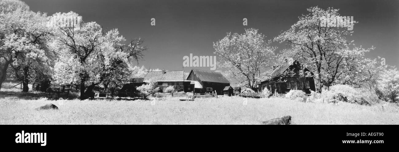 Farmhouse surrounded by trees Stock Photo - Alamy