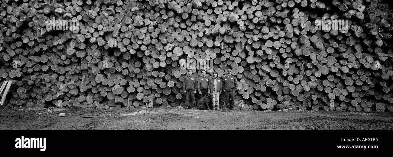 Lumber workers hi-res stock photography and images - Alamy