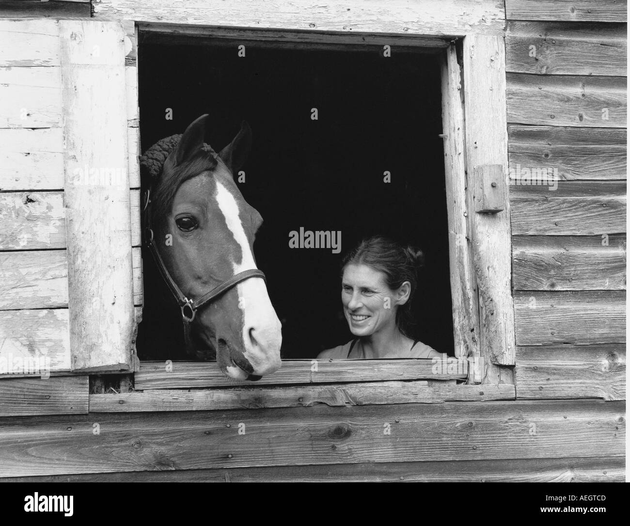 Farm woman with horse seen through barn window Stock Photo - Alamy