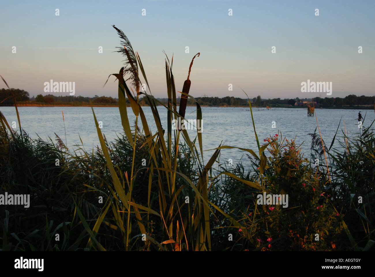 Hardley norfolk hi-res stock photography and images - Alamy