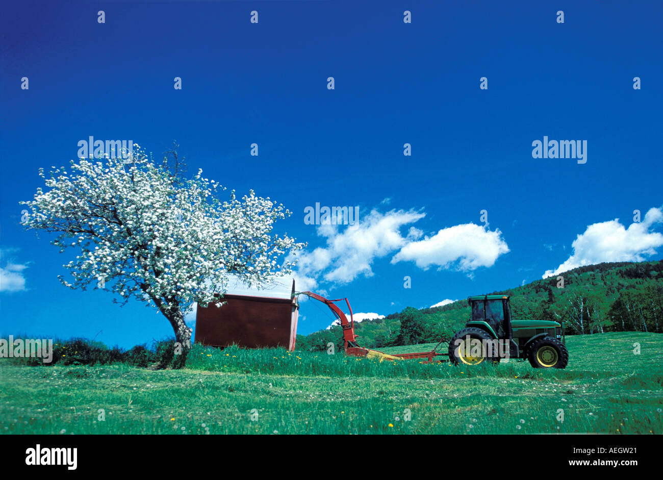 Tractor with telescopic crane loading barn Stock Photo - Alamy