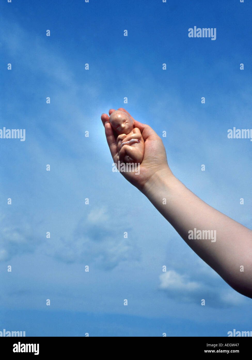 Hand holding representation of human embryo Stock Photo - Alamy