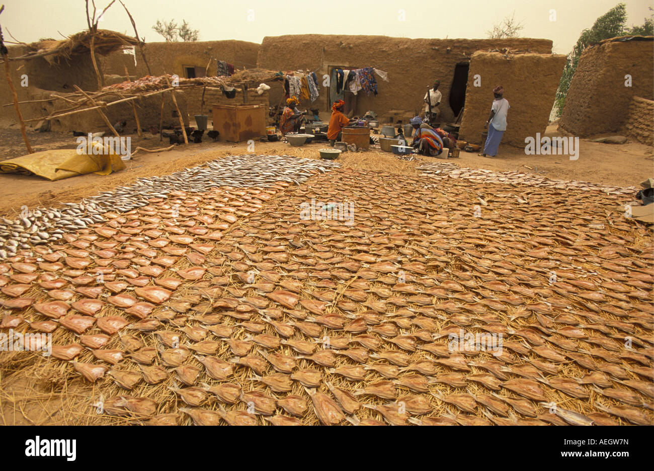 Mali Bamba, Women pounding food and drying fish Stock Photo - Alamy