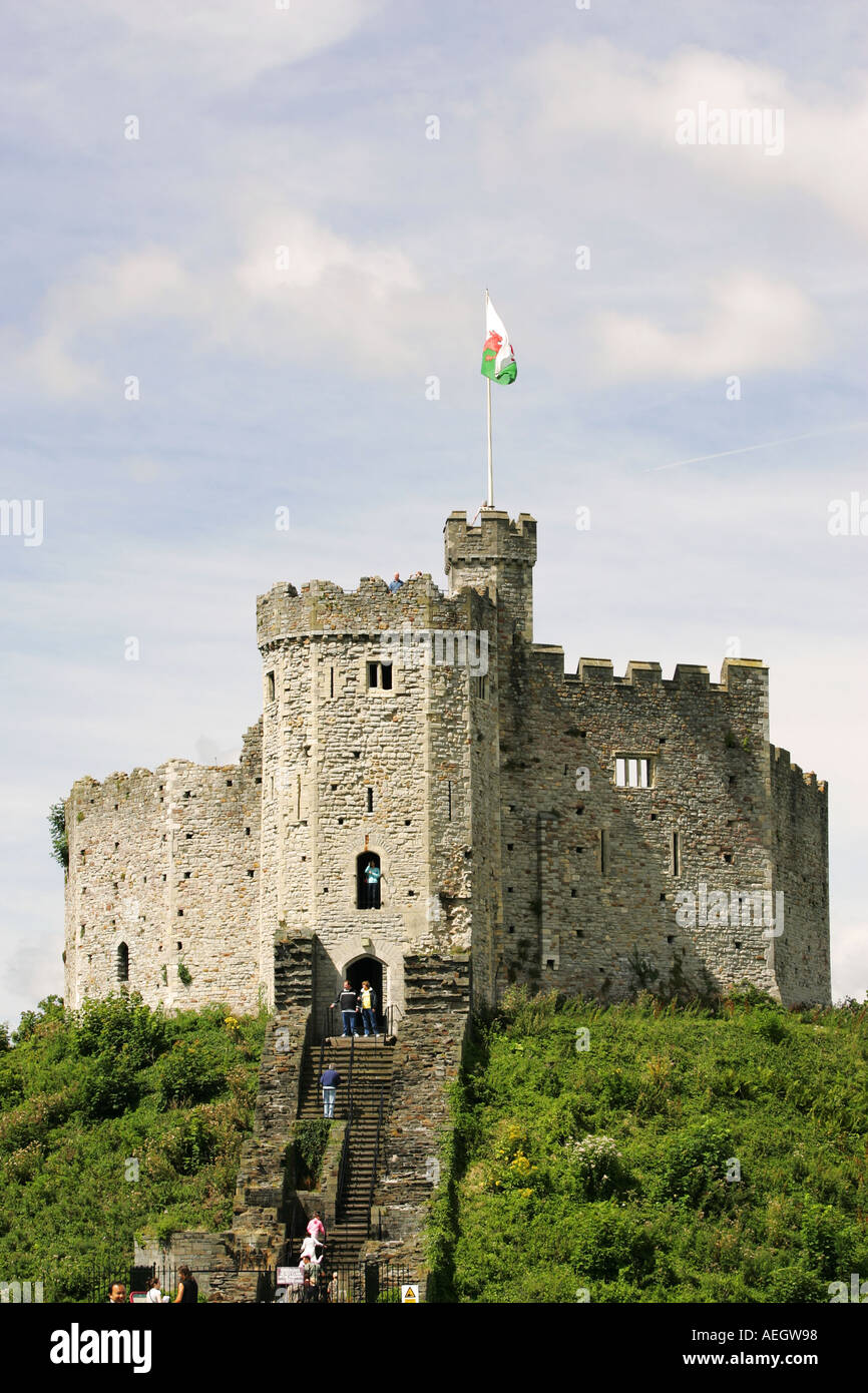 Cardiff Castle Logo Cardiff Castle Celf Creative