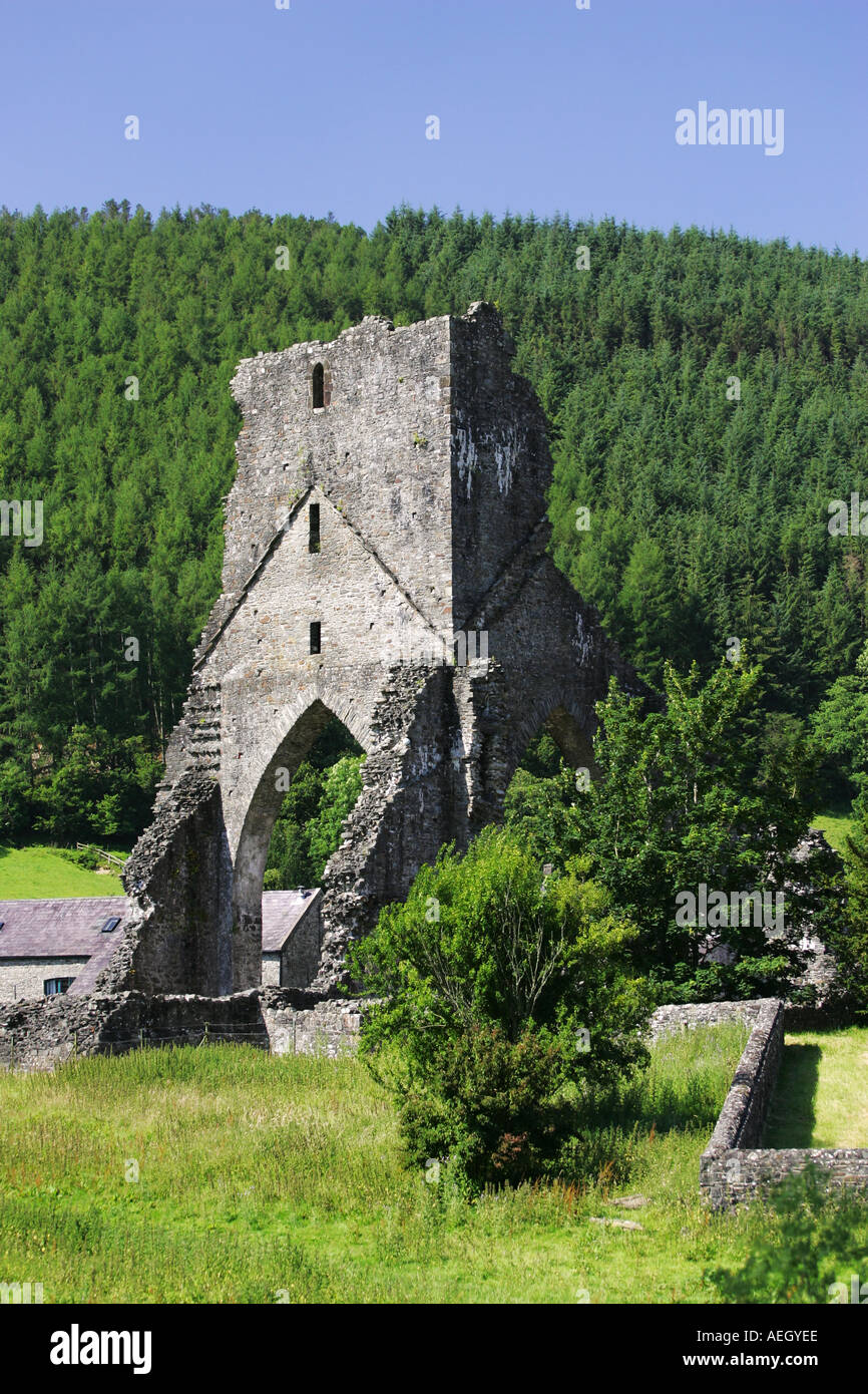 Ancient 12th century ruins of Talley Abbey set in a lush green Welsh ...