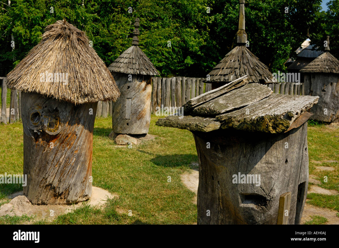 Ancient apiary yard with wooden beehives countryside rural Stock Photo ...
