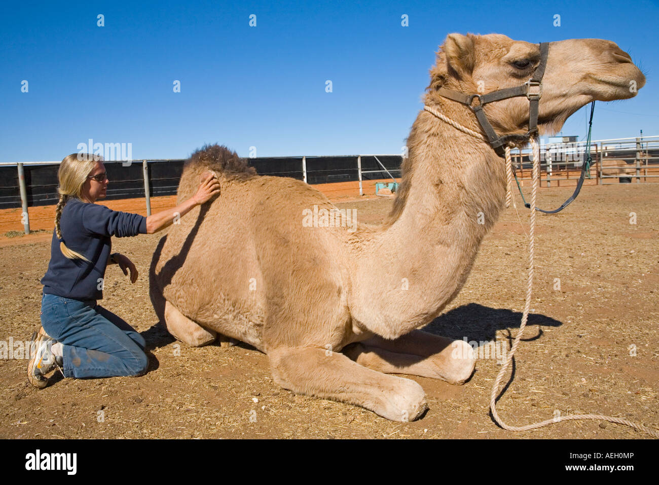 Boulia australia hi-res stock photography and images - Alamy