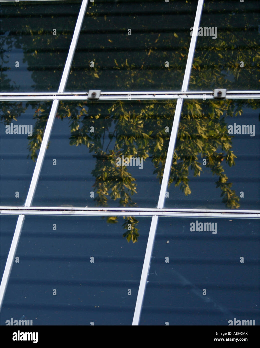 Environmental Solar panels and trees in reflection Stock Photo - Alamy