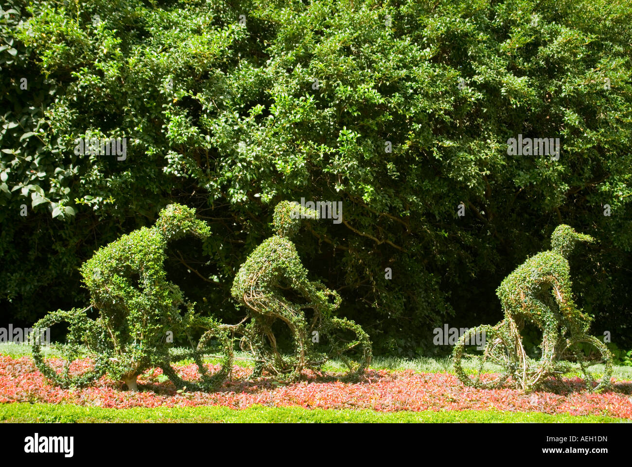 Topiary as an art form hi-res stock photography and images - Alamy