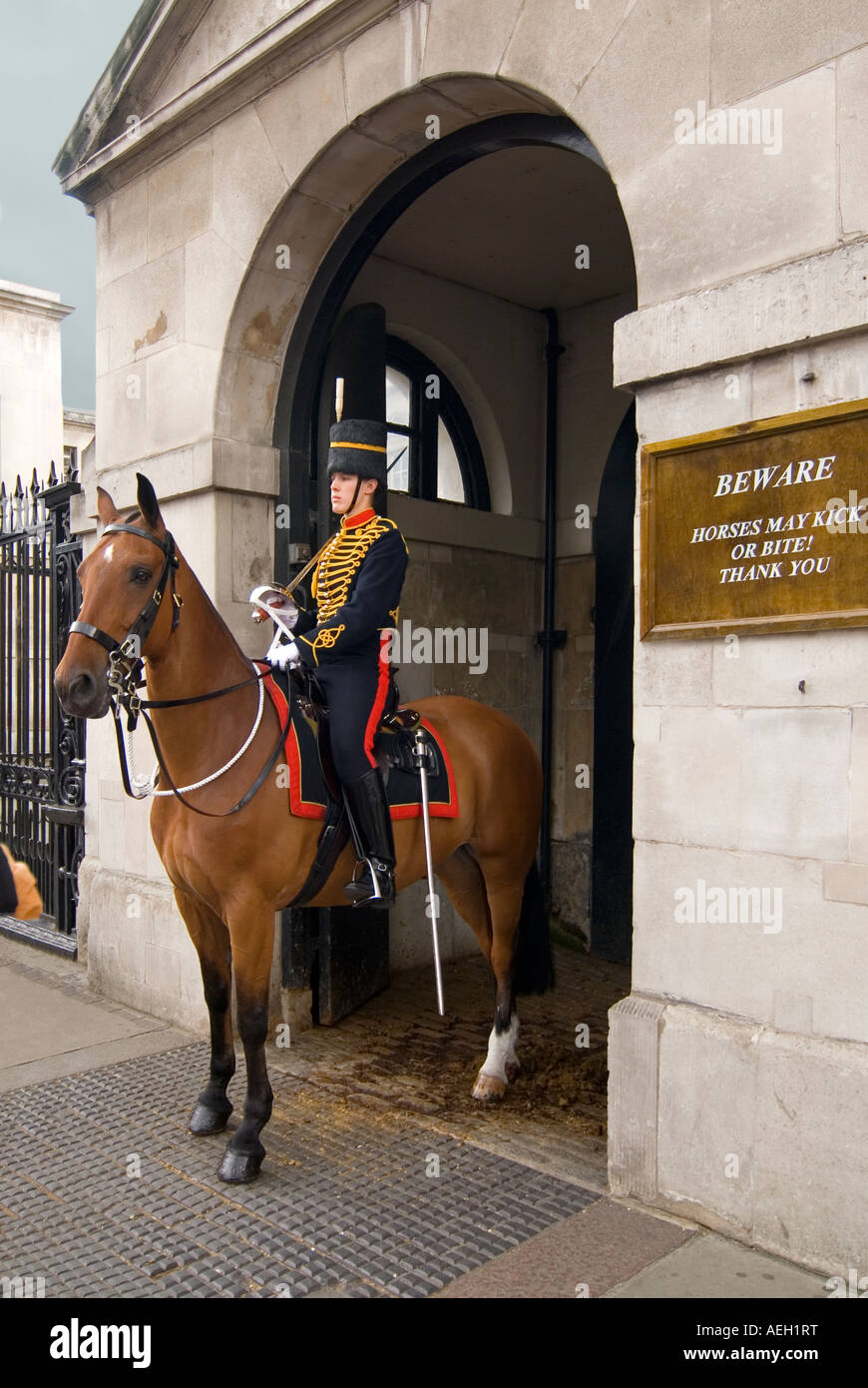 Vertical view of a female mounted Household Cavalry on duty at Horse ...