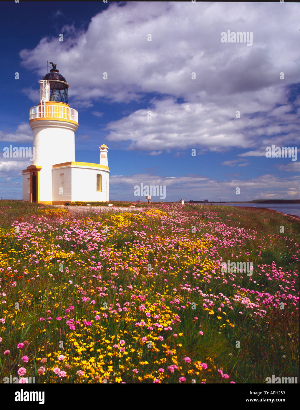 Uk Scotland Ross shire The Black Isle Chanory Point Lighthouse by the ...
