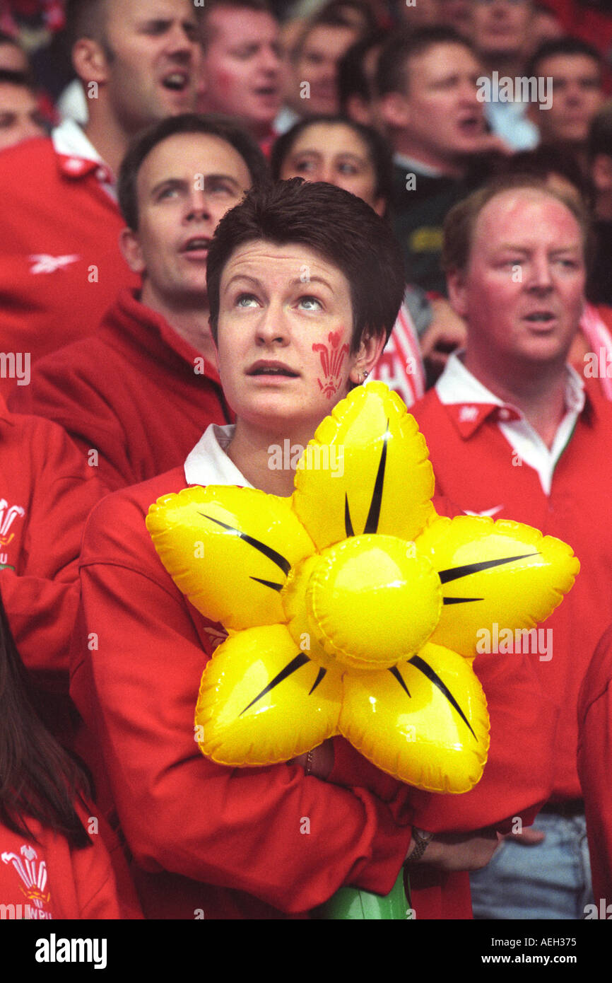 Female Welsh rugby fan with plastic inflatable daffodil at Wales ...