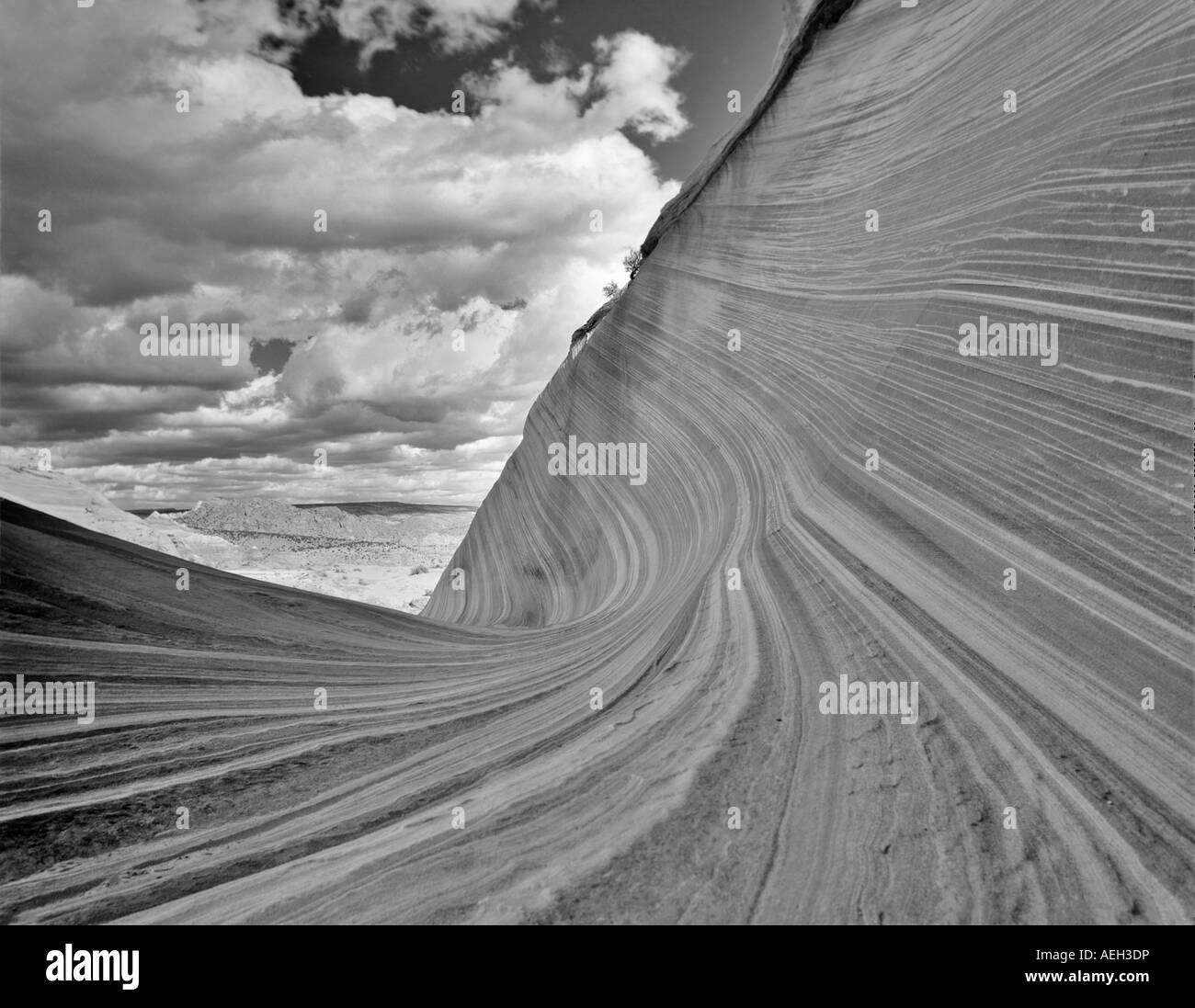 Line wave patterns Black and White Stock Photos & Images - Alamy