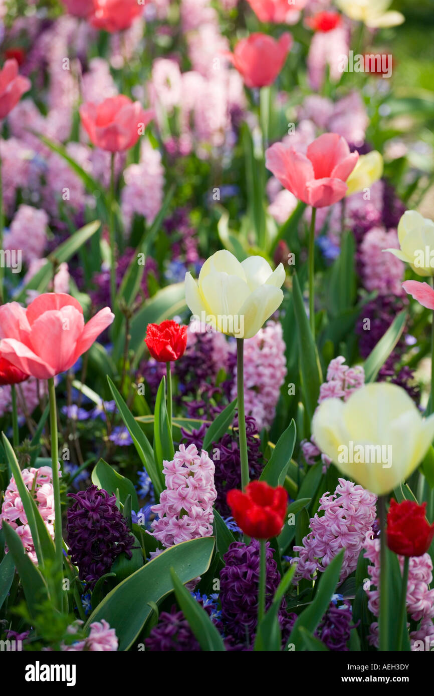 Keukenhof Gardens The Netherlands Large spring garden with bulbs Stock ...