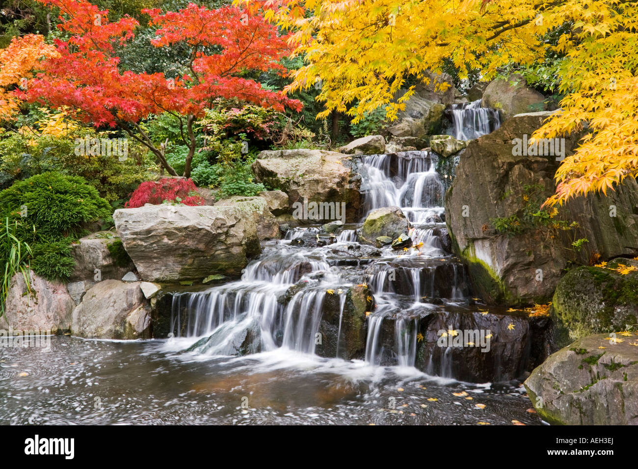 The Kyoto Garden Japanese style garden Holland park Kensington London Stock Photo - Alamy
