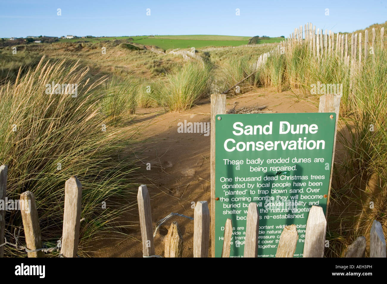 Devon sand dunes hi-res stock photography and images - Alamy