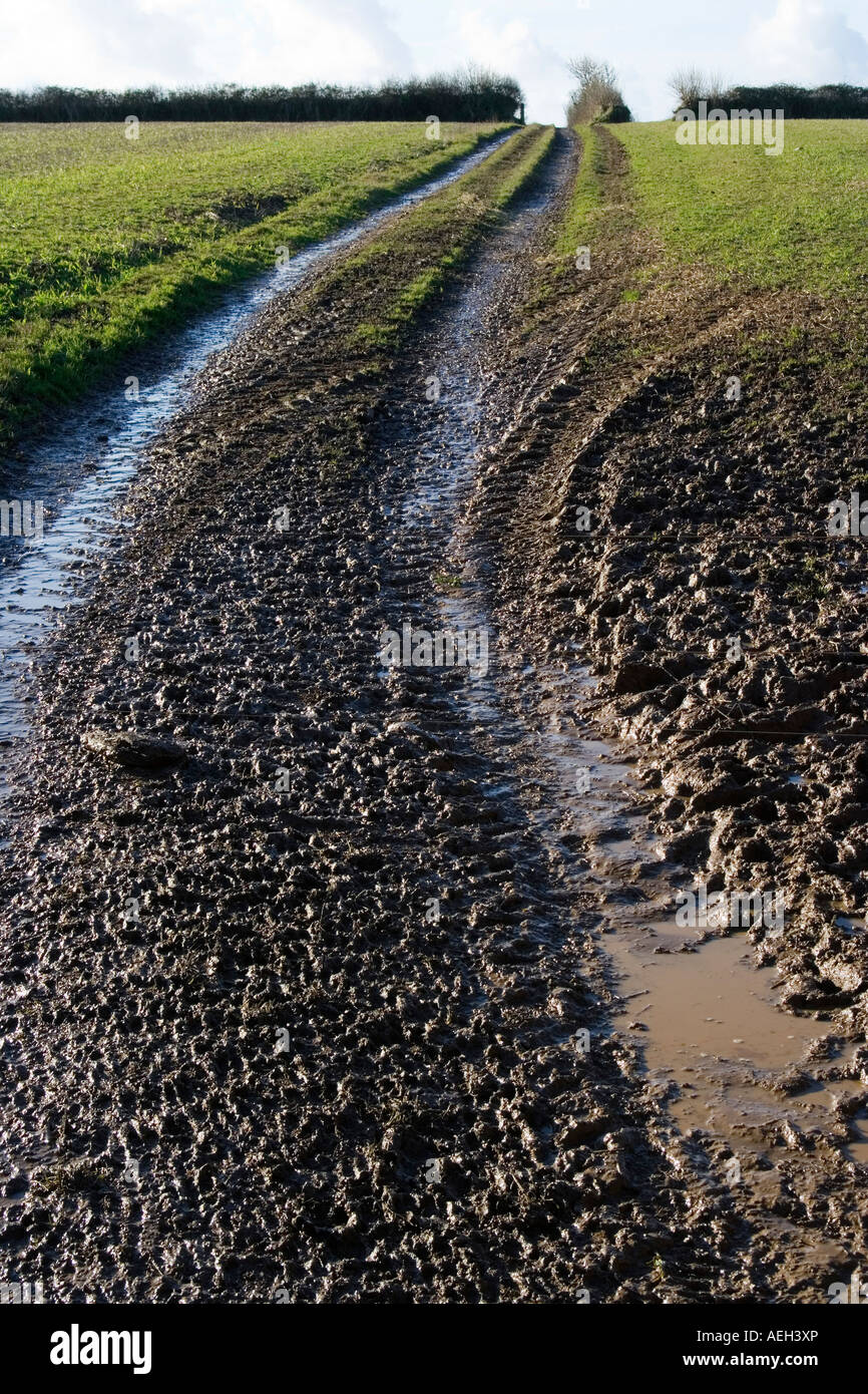 Muddy lane across field in winter Stock Photo - Alamy