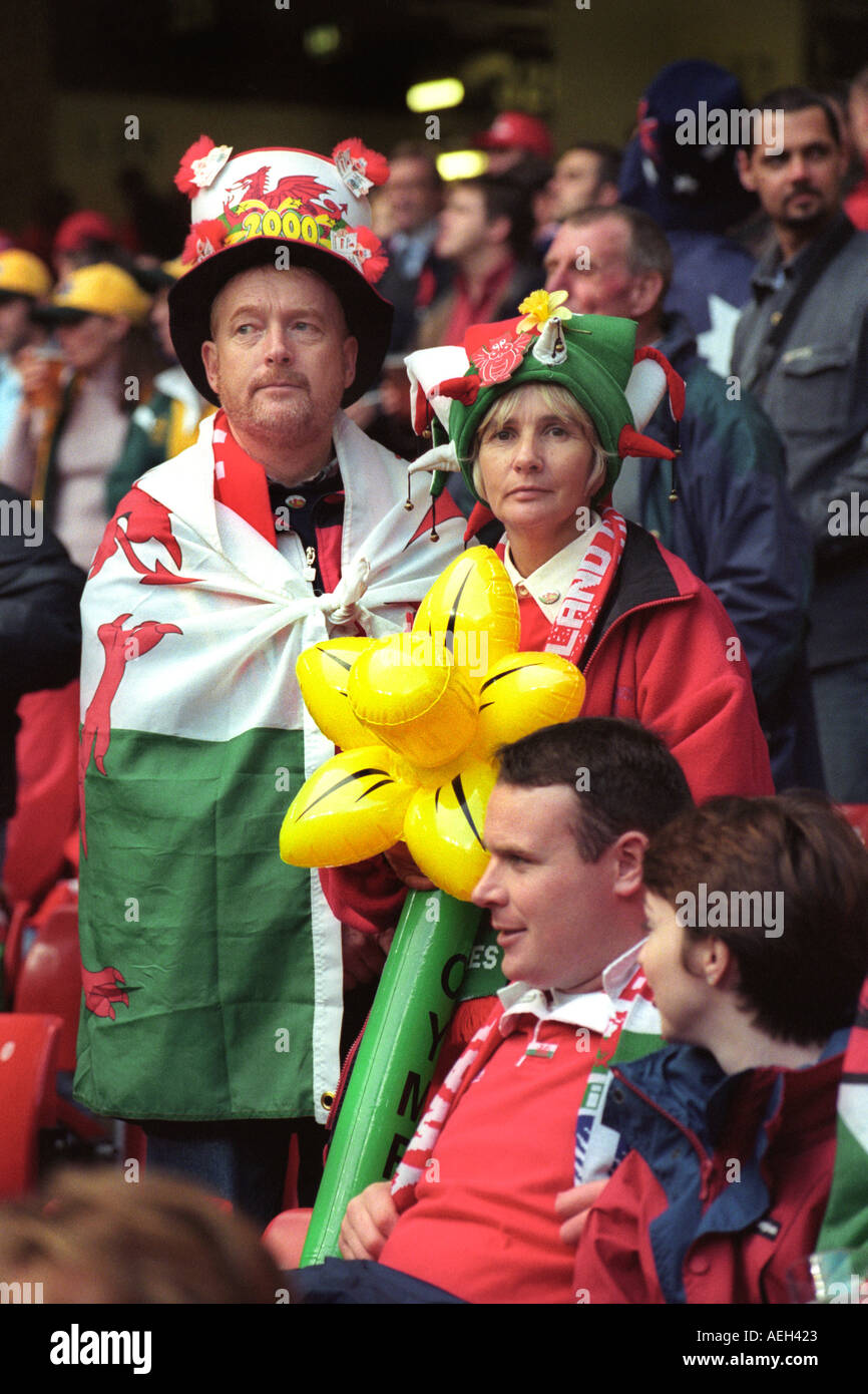 Welsh rugby fans wearing fancy dress in the Millennium Stadium Cardiff ...