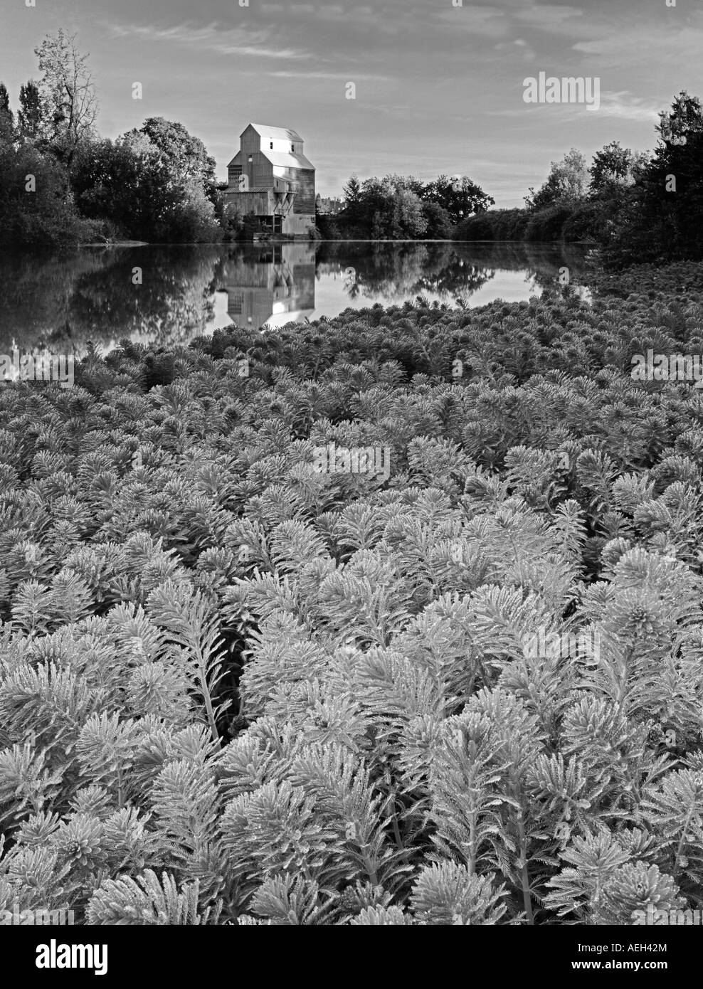 Grain silo river Black and White Stock Photos & Images - Alamy