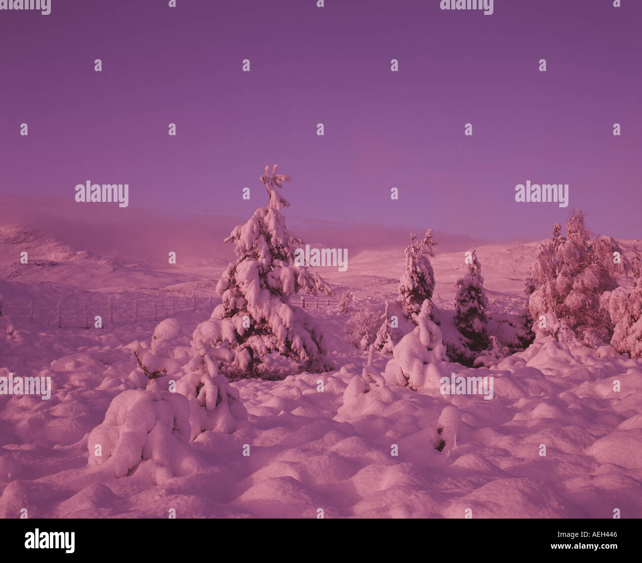 Ardverikie estate hi-res stock photography and images - Alamy